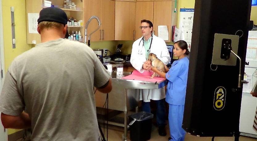 Animal Behavior College Shoots New TV Commercial - Animal Behavior College