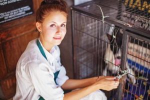 Animal Careers - Animal Behavior College
