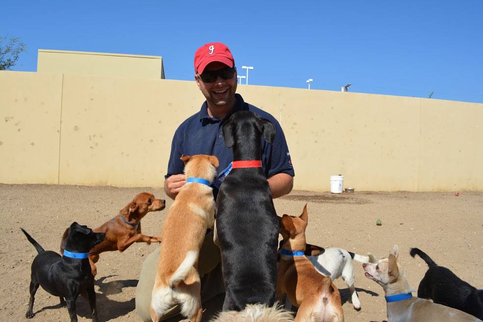 Dog Obedience Training Saves Lives | Students Saving Lives