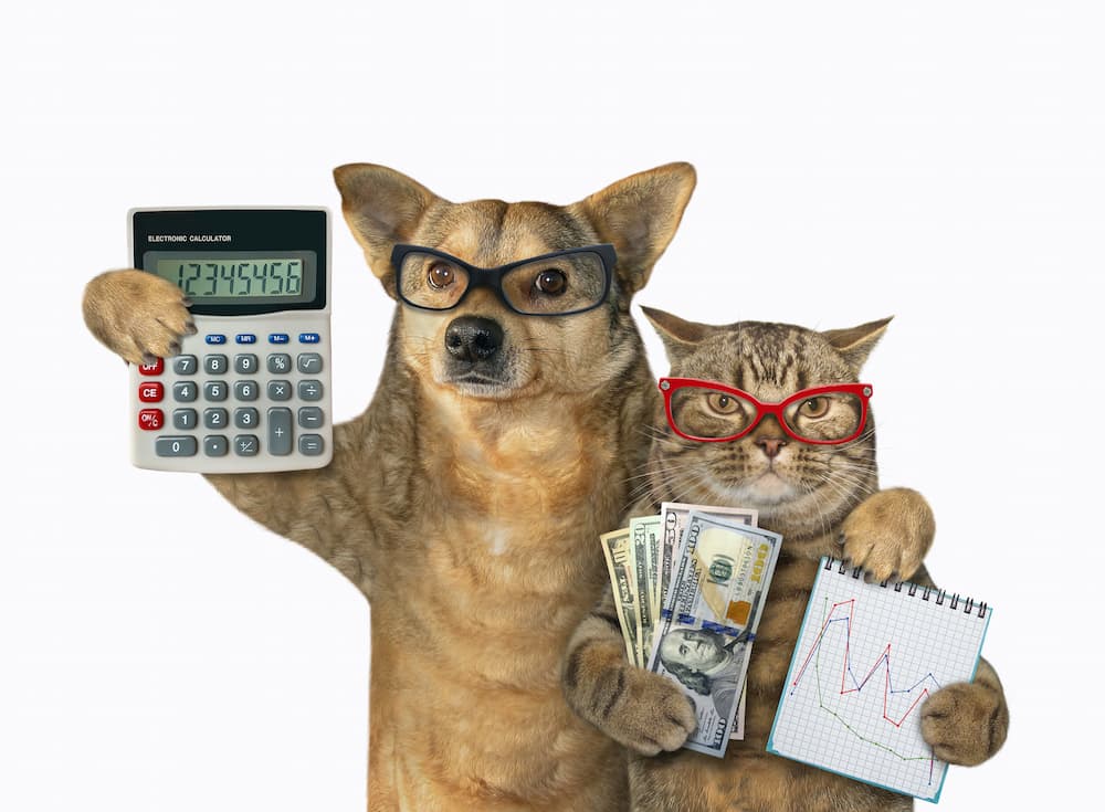 2021 Jobs Collaborating With Pets That Pay Effectively Dog Care Tips 2021 Jobs Collaborating With Pets That Pay Effectively Dog Care Tips