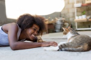 Cat Training and Behavior Management - Animal Behavior College