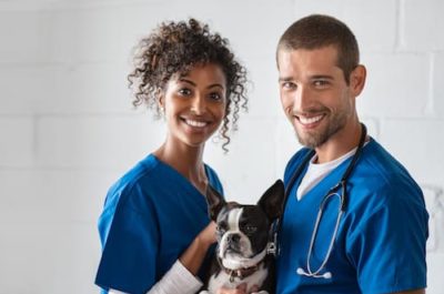 Veterinary Assistant School | Animal Behavior College