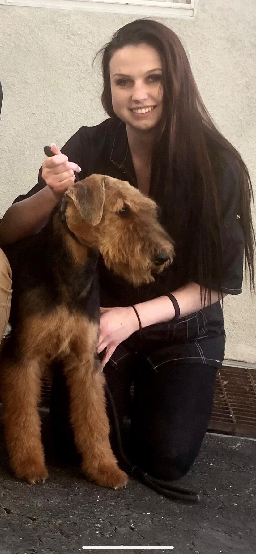 On The Road to Being a Successful Groomer - Animal Behavior College