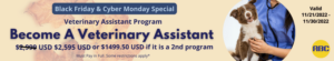 Vet Assistant School | Veterinarian’s Assistant Tuition