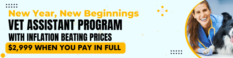 Veterinary Assistant School | Animal Behavior College