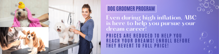 Dog Grooming School | Pet Grooming Training