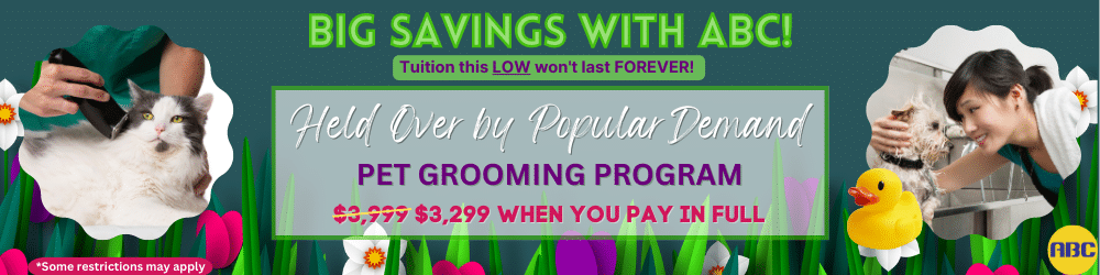 Dog Grooming School | Pet Grooming Training