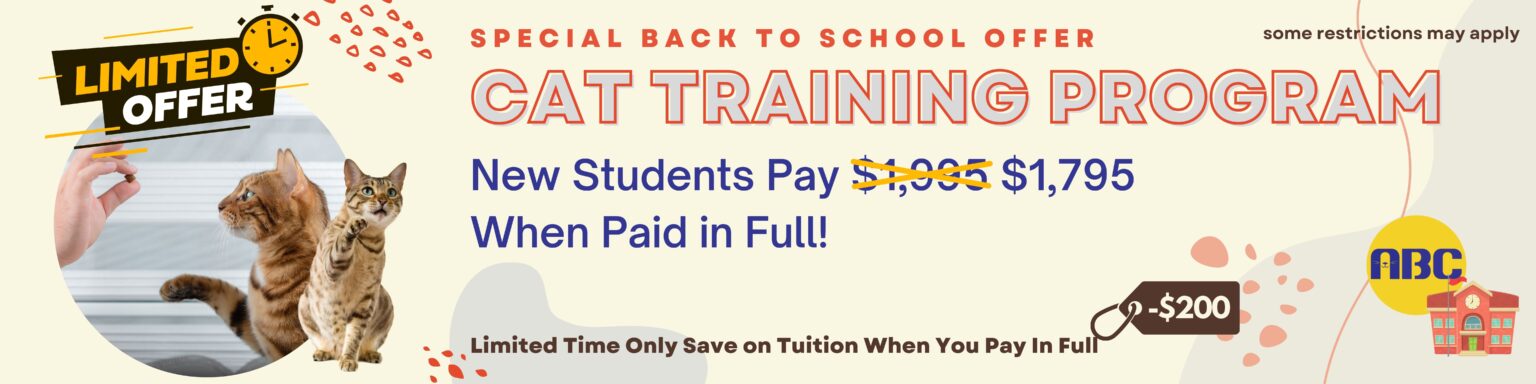 Cat Training and Behavior Management - Animal Behavior College