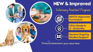 Veterinary Assistant School | Animal Behavior College