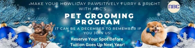Dog Grooming School | Pet Grooming Training
