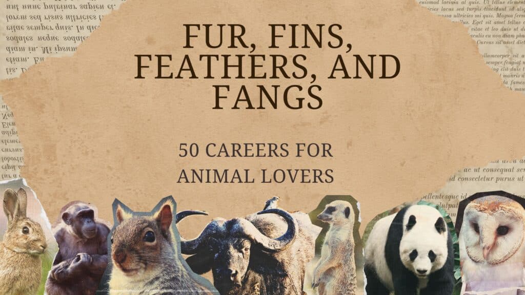 Fur, Fins, Feathers, and Fangs: 50 Careers for Animal Lovers - Animal Behavior College