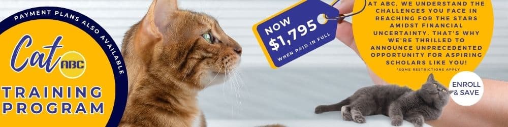 Cat Training School - Cat Trainer Program