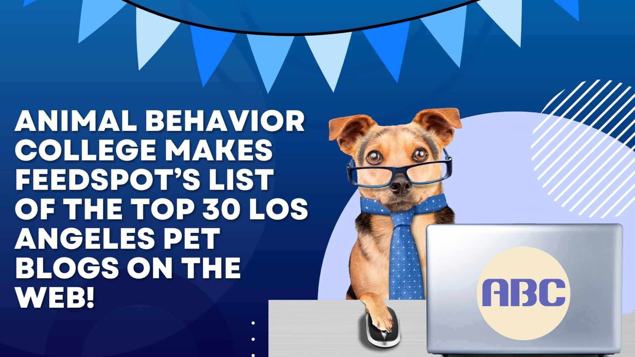 Animal Behavior College Makes Feedspot’s List of the Top 30 Los Angeles ...