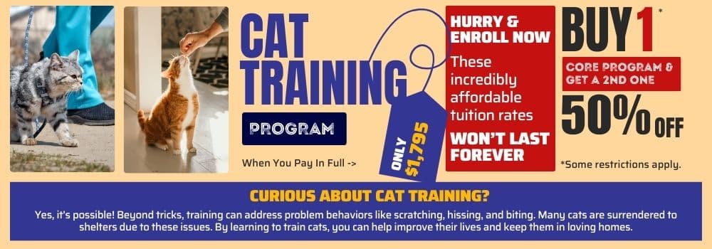 Cat Training and Behavior Management - Animal Behavior College