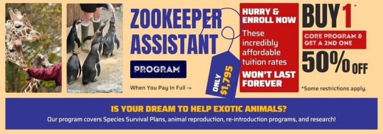 Zookeeper Assistant Program | Explore Zoo Jobs