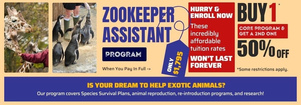 Zookeeper Assistant Program | Explore Zoo Jobs