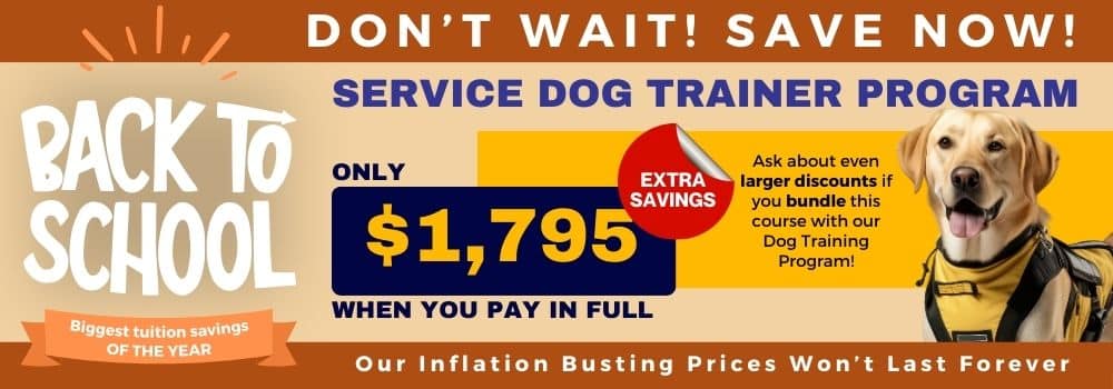 Service Dog Training | Why Become a Service Dog Trainer?