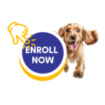 Zookeeper Assistant Program | Explore Zoo Jobs